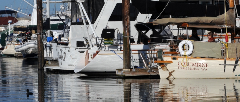 Financial Information – The Port of Friday Harbor