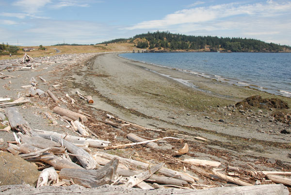 Jackson Beach - The Port of Friday Harbor | Natuurondernemer