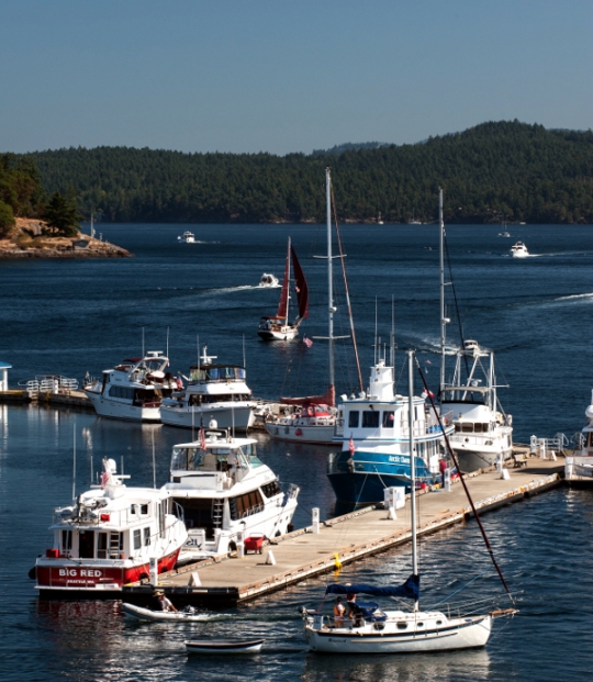 The Port of Friday Harbor - Where Friday Begins The Port of Friday Harbor - Where Friday Begins