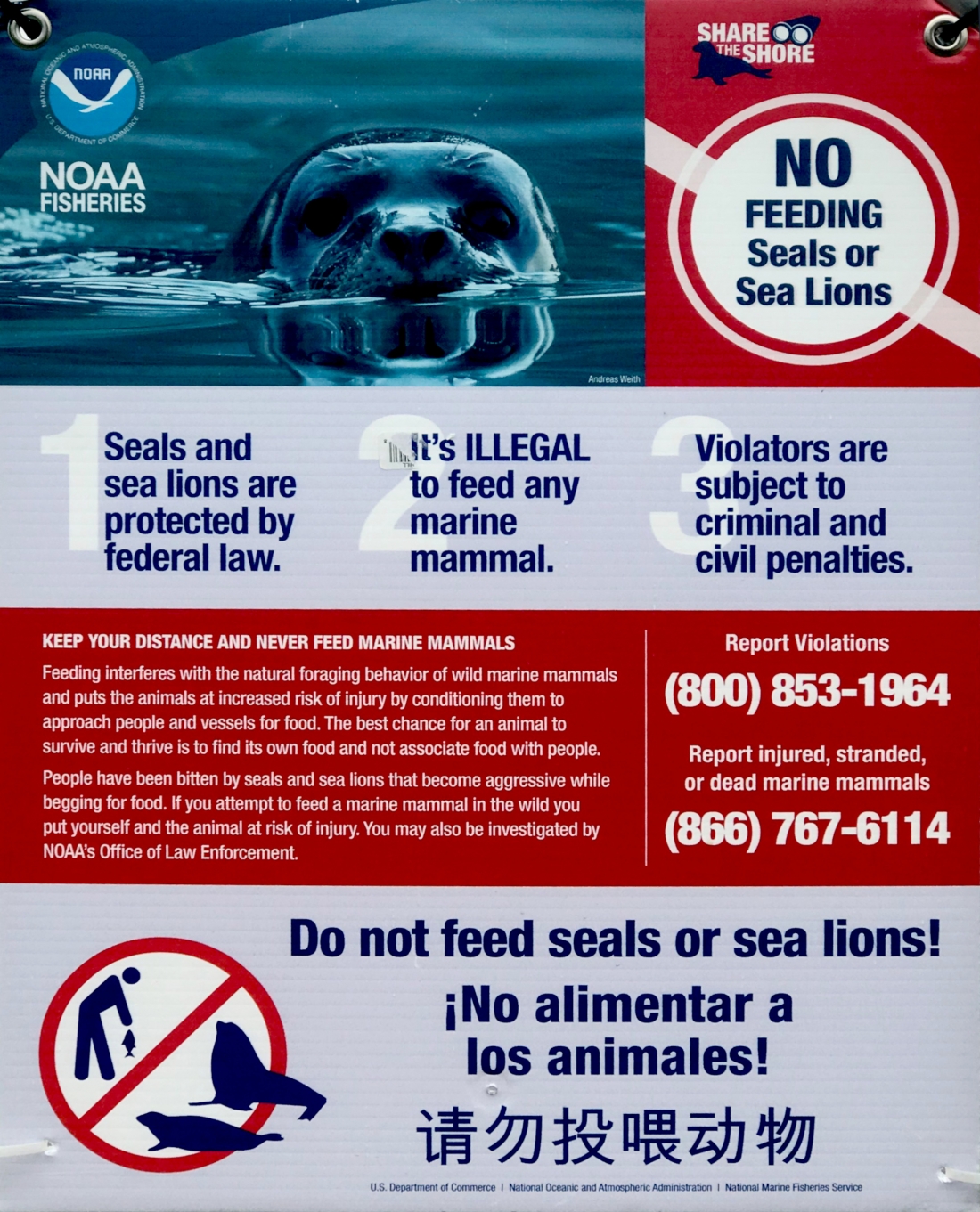 Please do not feed or approach wildlife – The Port of Friday Harbor
