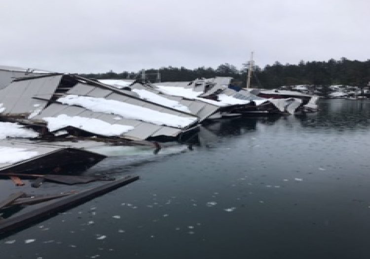 Port of Friday Harbor Announcements – The Port of Friday Harbor